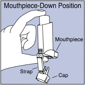 Flovent HFA: Uses, Taking, Side Effects, Warnings - Medicine.com