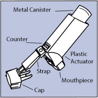 Flovent HFA: Uses, Taking, Side Effects, Warnings - Medicine.com