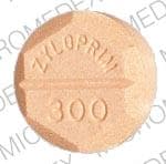 Pill Finder: ZYLOPRIM 300 Orange Round - Medicine.com