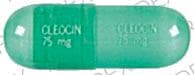 Pill Finder: CLEOCIN 75 mg CLEOCIN 75 mg Green Capsule-shape - Medicine.com