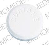 Pill Finder: CORTONE MSD 219 White Round - Medicine.com