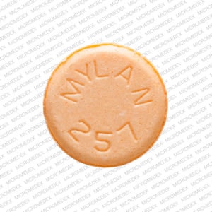 Pill Finder: MYLAN 257 Orange Round - Medicine.com