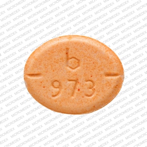 Pill Finder: b 973 2 0 Orange Elliptical / Oval - Medicine.com