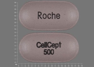 Pill Finder: CellCept 500 Roche Pink Elliptical / Oval - Medicine.com