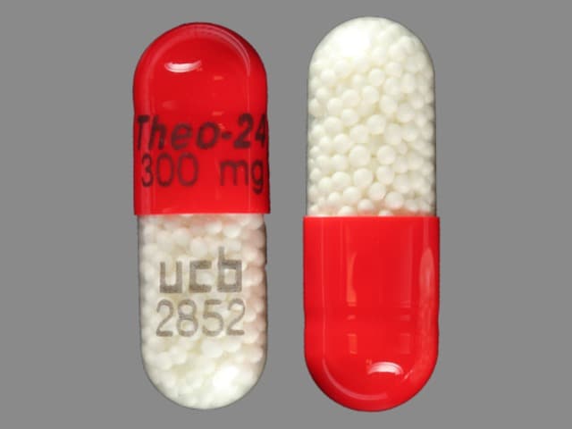 Pill Finder: Theo-24 300 mg ucb 2852 Red Capsule-shape - Medicine.com