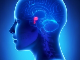 Levothyroxine: Dosage, Mechanism/Onset of Action, Half-Life - Medicine.com